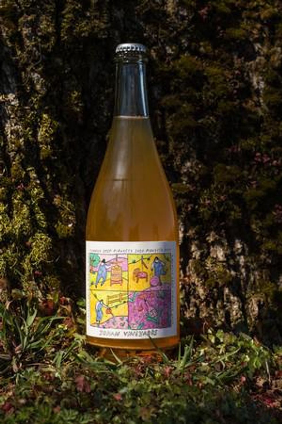 Everything You Need to Know about Piquette Wine - Coveteur: Inside ...